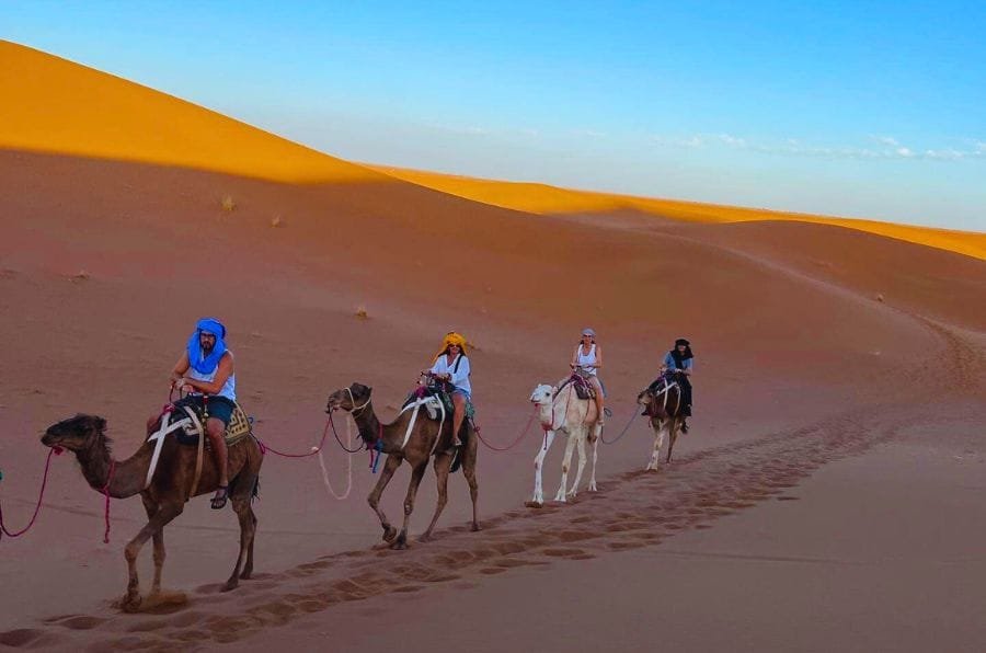 The 10 Best Desert Tours from Fes & Camel Rides & Treks (2025)